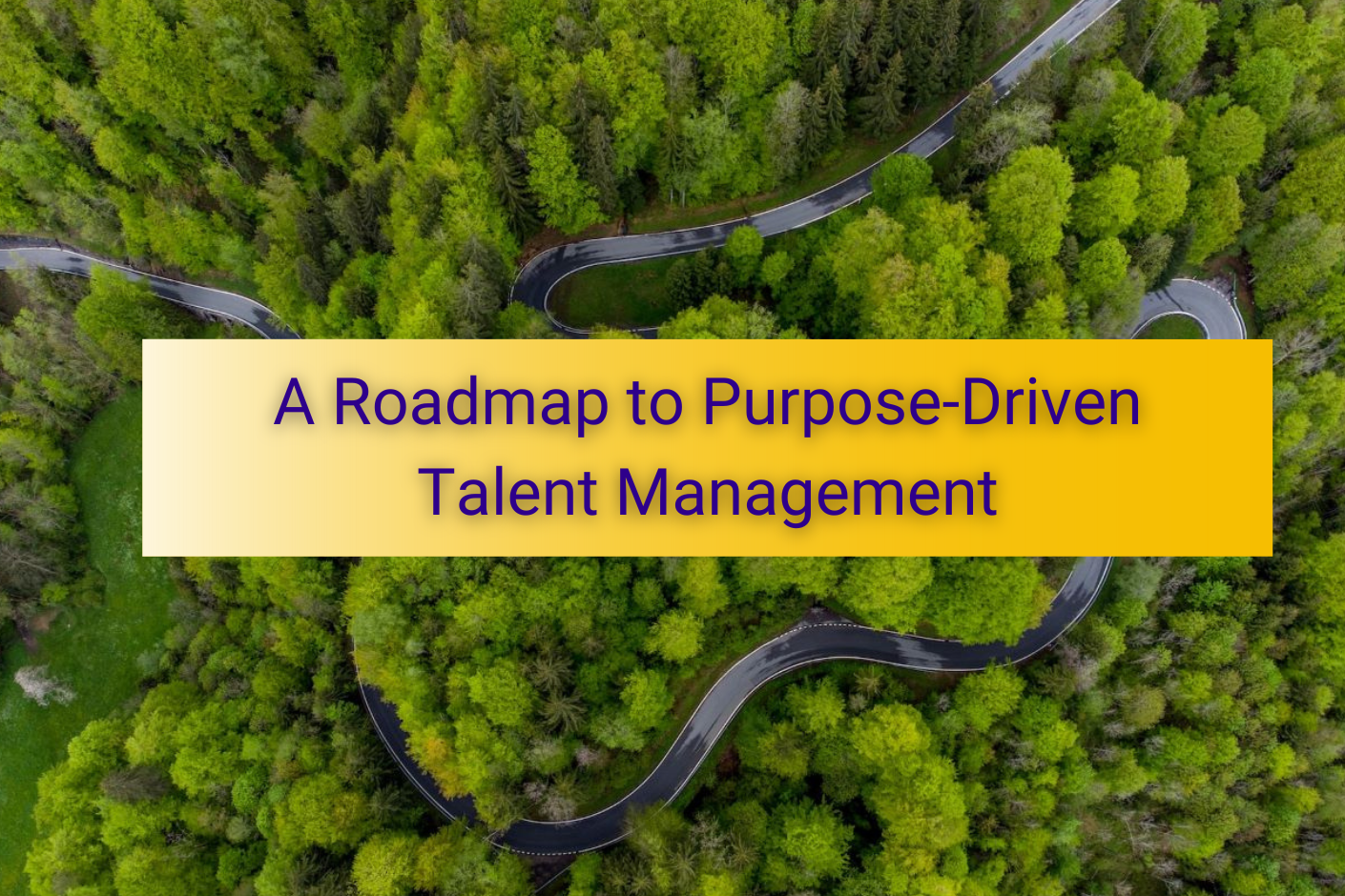 4A Model: A Roadmap to Purpose-Driven Talent Management
